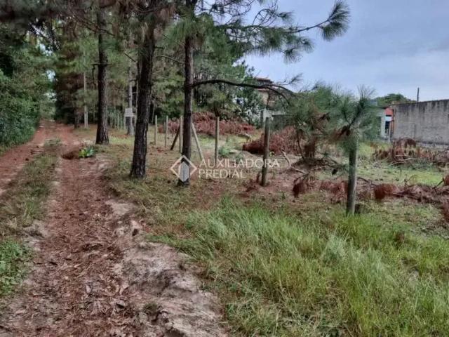 Terreno / Lote para Venda em Imbituba/SC Ibiraquera