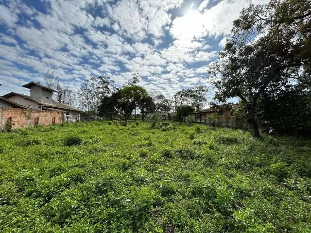 Terreno / Lote para Venda em Imbituba/SC Ibiraquera