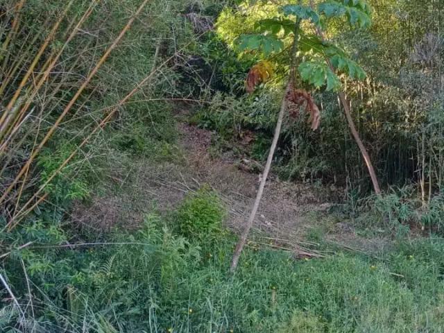 Terreno / Lote para Venda em Imbituba/SC Ibiraquera