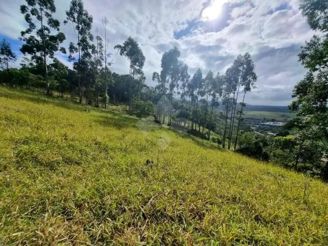 Terreno / Lote para Venda em Imbituba/SC Penha
