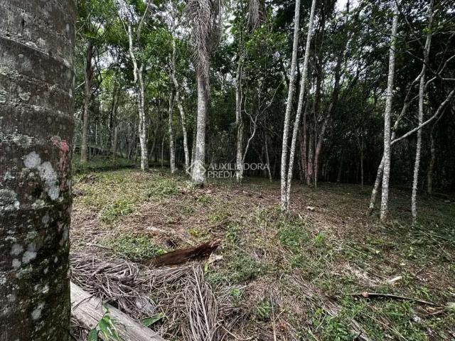 Terreno / Lote para Venda em Imbituba/SC Praia do Rosa