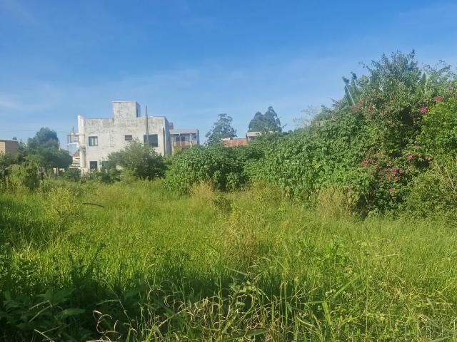 Terreno / Lote para Venda em Imbituba/SC Praia do Rosa