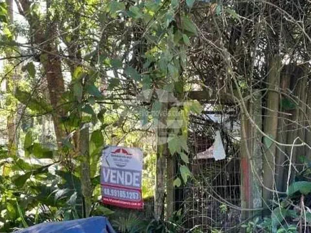 Terreno / Lote para Venda em Imbituba/SC Praia do Rosa