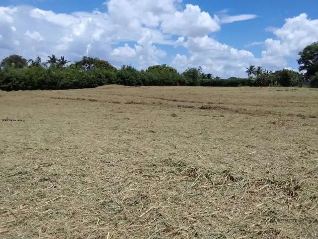 Terreno / Lote para Venda em Indaiatuba/SP Colinas do Mosteiro de Itaici