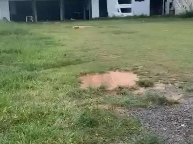 Terreno / Lote para Venda em Indaiatuba/SP Cidade Nova I