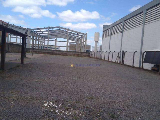 Terreno / Lote para Venda em Indaiatuba/SP Distrito Industrial João Narezzi