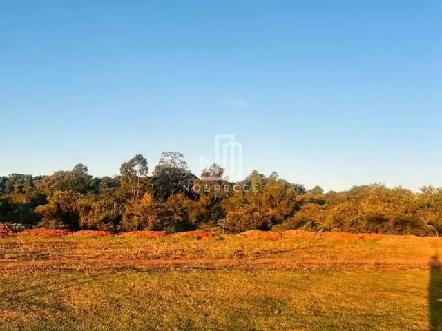 Terreno / Lote para Venda em Indaiatuba/SP Itaici