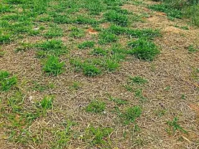 Terreno / Lote para Venda em Indaiatuba/SP Jardim Casablanca