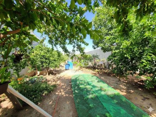 Terreno / Lote para Venda em Indaiatuba/SP Jardim dos Sabiás