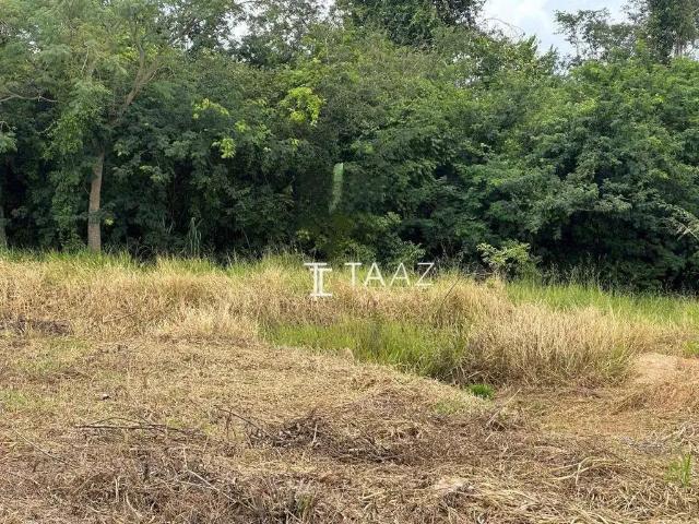 Terreno / Lote para Venda em Indaiatuba/SP Jardim dos Sabiás