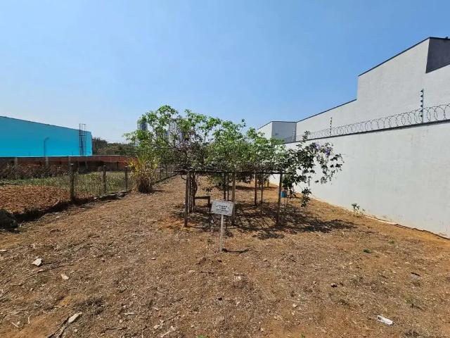 Terreno / Lote para Venda em Indaiatuba/SP Jardim Esplanada