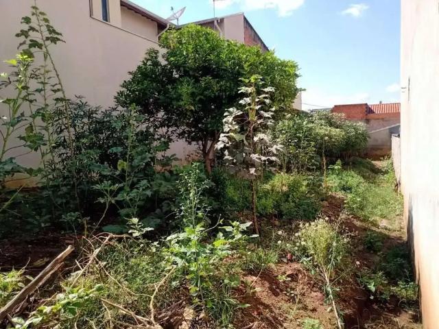 Terreno / Lote para Venda em Indaiatuba/SP Jardim Paulista I