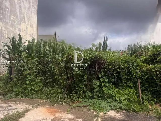 Terreno / Lote para Venda em Indaiatuba/SP Jardim Regina