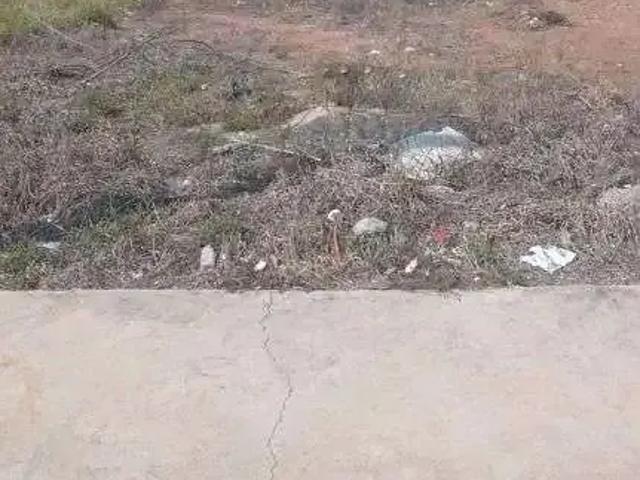 Terreno / Lote para Venda em Indaiatuba/SP Lagos de Shanadu