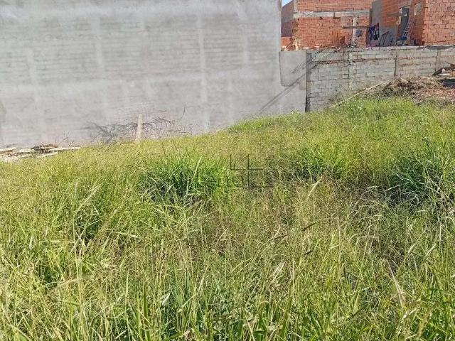 Terreno / Lote para Venda em Indaiatuba/SP Núcleo Residencial Professor Carlos Aldrovandi