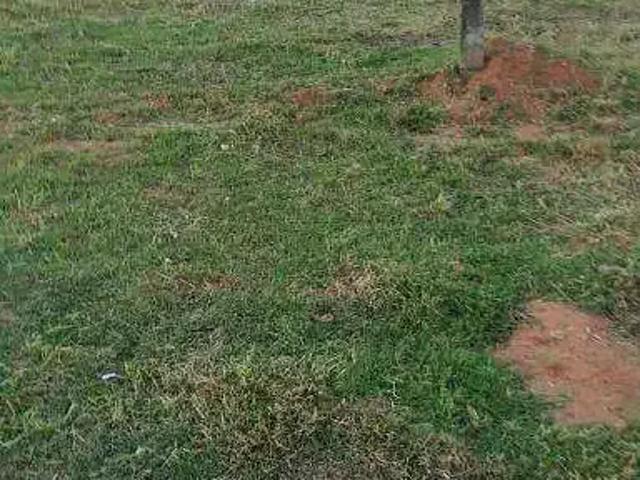 Terreno / Lote para Venda em Indaiatuba/SP Parque Campo Bonito