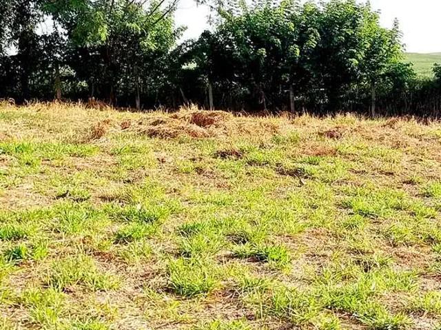 Terreno / Lote para Venda em Indaiatuba/SP Parque Residencial Indaiá