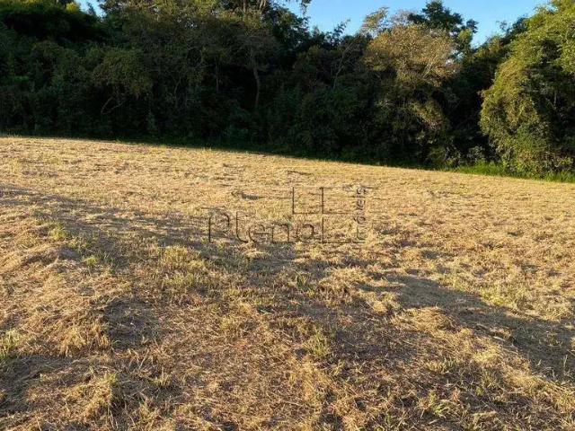 Terreno / Lote para Venda em Indaiatuba/SP Parque Residencial Sabiás