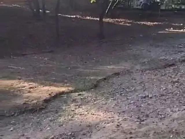 Terreno / Lote para Venda em Indaiatuba/SP Recanto Campestre Internacional de Viracopos Gleba 4