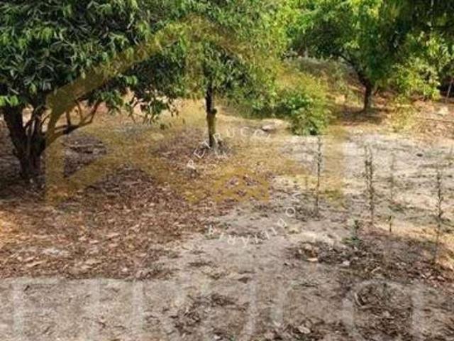 Terreno / Lote para Venda em Indaiatuba/SP Recreio Campestre Internacional Viracopos II