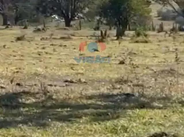 Terreno / Lote para Venda em Indaiatuba/SP Tombadouro
