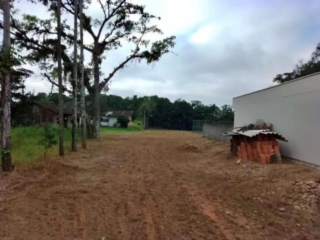Terreno / Lote para Venda em Indaial/SC Carijós