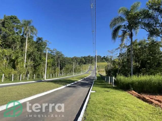 Terreno / Lote para Venda em Indaial/SC Arapongas
