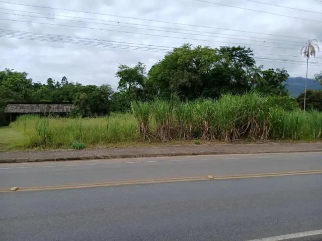 Terreno / Lote para Venda em Indaial/SC Arapongas