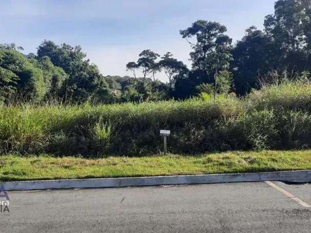 Terreno / Lote para Venda em Indaial/SC Benedito