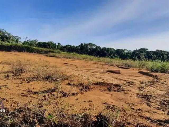 Terreno / Lote para Venda em Indaial/SC Benedito