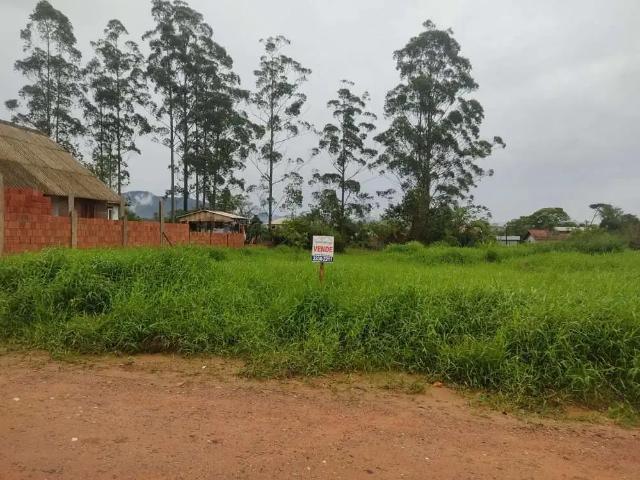 Terreno / Lote para Venda em Indaial/SC Benedito