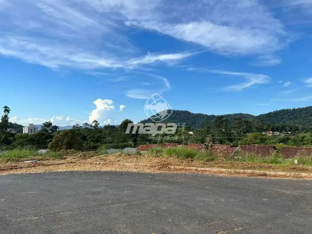 Terreno / Lote para Venda em Indaial/SC Estrada das Areias