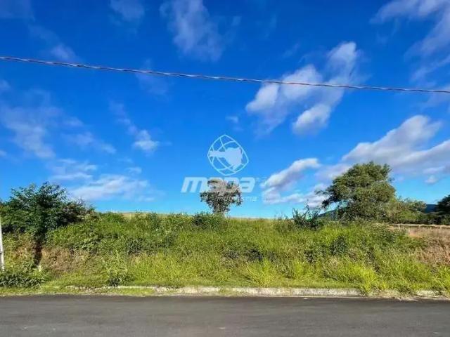 Terreno / Lote para Venda em Indaial/SC Estrada das Areias