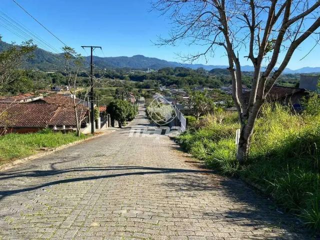 Terreno / Lote para Venda em Indaial/SC Ribeirão das Pedras