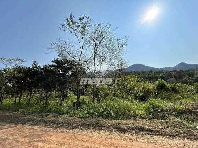 Terreno / Lote para Venda em Indaial/SC Rio Morto
