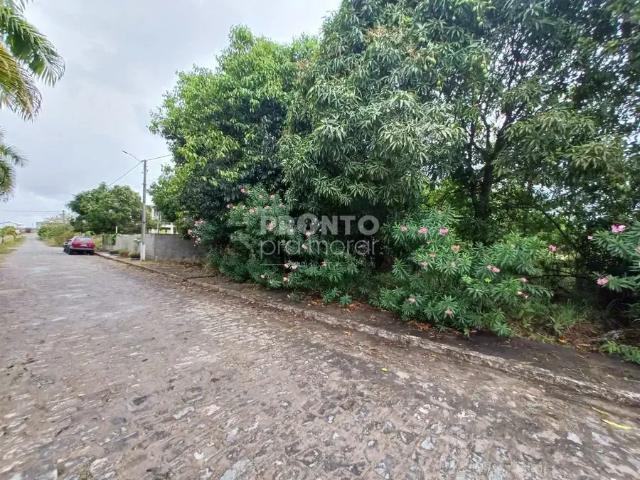 Terreno / Lote para Venda em Ipojuca/PE Centro