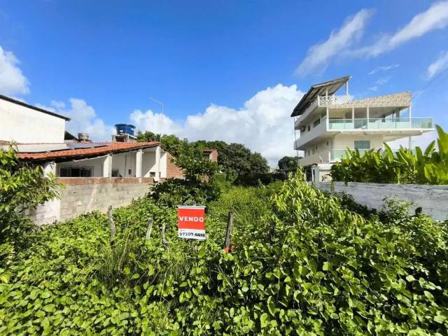 Terreno / Lote para Venda em Ipojuca/PE Serrambi