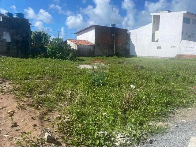 Terreno / Lote para Venda em Ipojuca/PE Serrambi