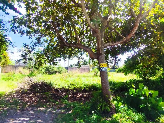 Terreno / Lote para Venda em Ipojuca/PE Porto de Galinhas