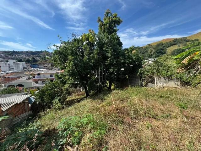Terreno / Lote para Venda em Ipatinga/MG Canaã