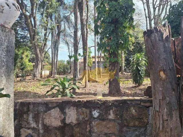 Terreno / Lote para Venda em Ipeúna/SP Centro