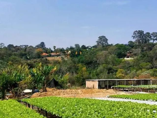Terreno / Lote para Venda em Iperó/SP Bacaetava