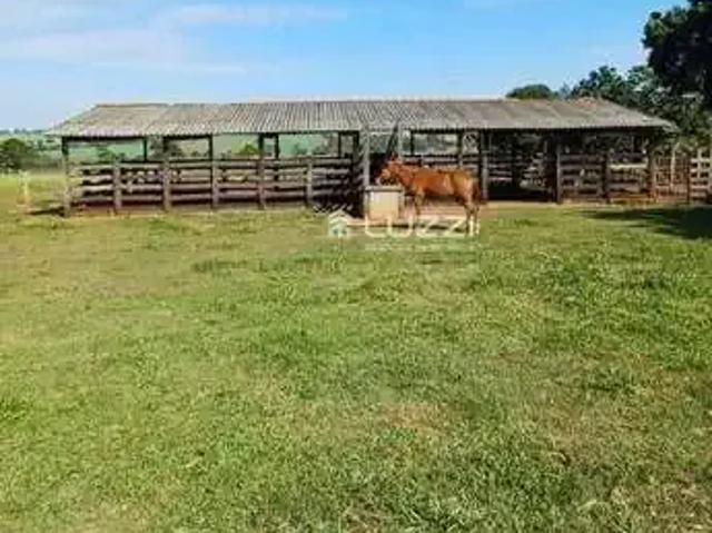 Terreno / Lote para Venda em Ipiguá/SP Condomínio Bacuri