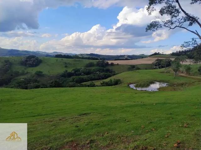 Terreno / Lote para Venda em Irati/SC Centro
