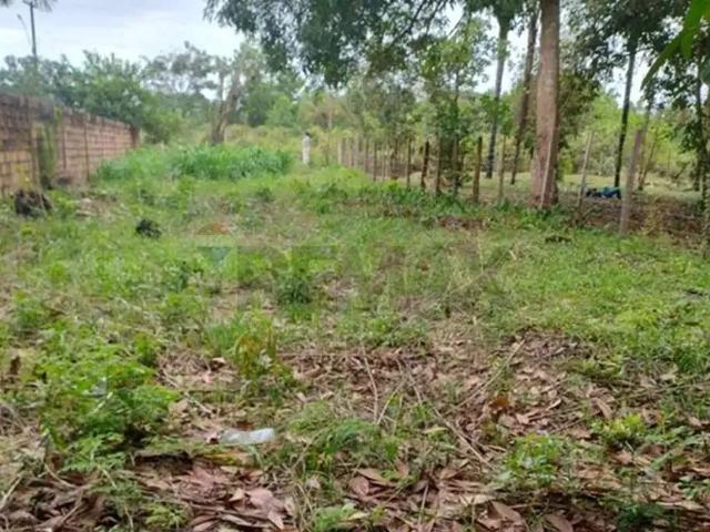 Terreno / Lote para Venda em Iranduba/AM Cacau Pirêra