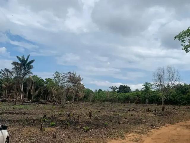 Terreno / Lote para Venda em Iranduba/AM Piracatuba