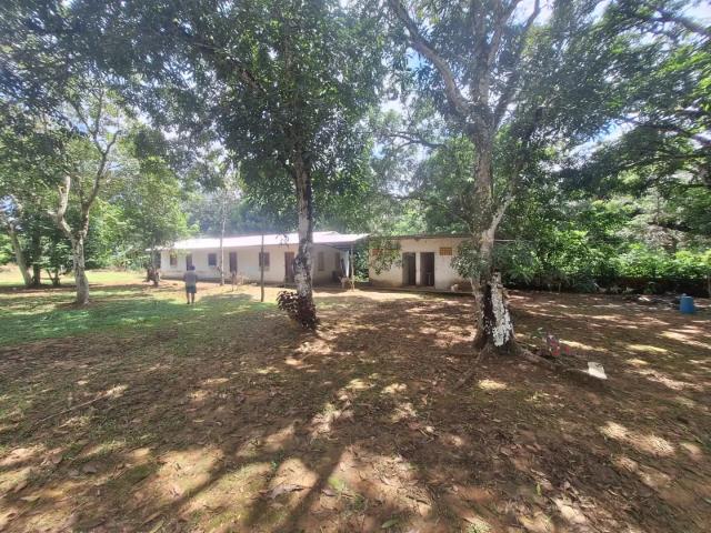 Terreno / Lote para Venda em Iranduba/AM Piracatuba