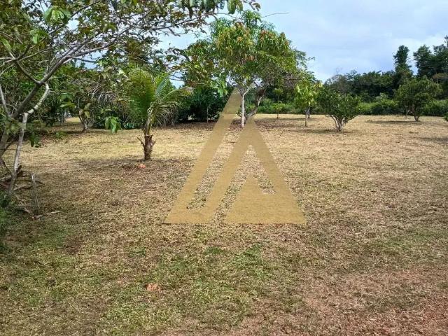 Terreno / Lote para Venda em Iranduba/AM Praia do Açutuba