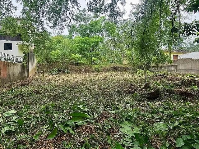 Terreno / Lote para Venda em Itatiaia/RJ Jardim Martineli