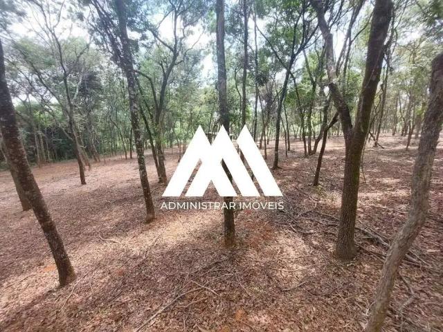 Terreno / Lote para Venda em Itatiaiuçu/MG Cachoeira do Chaves